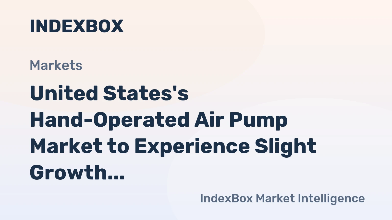 United States's Hand-Operated Air Pump Market to Experience Slight Growth with +0.2% CAGR