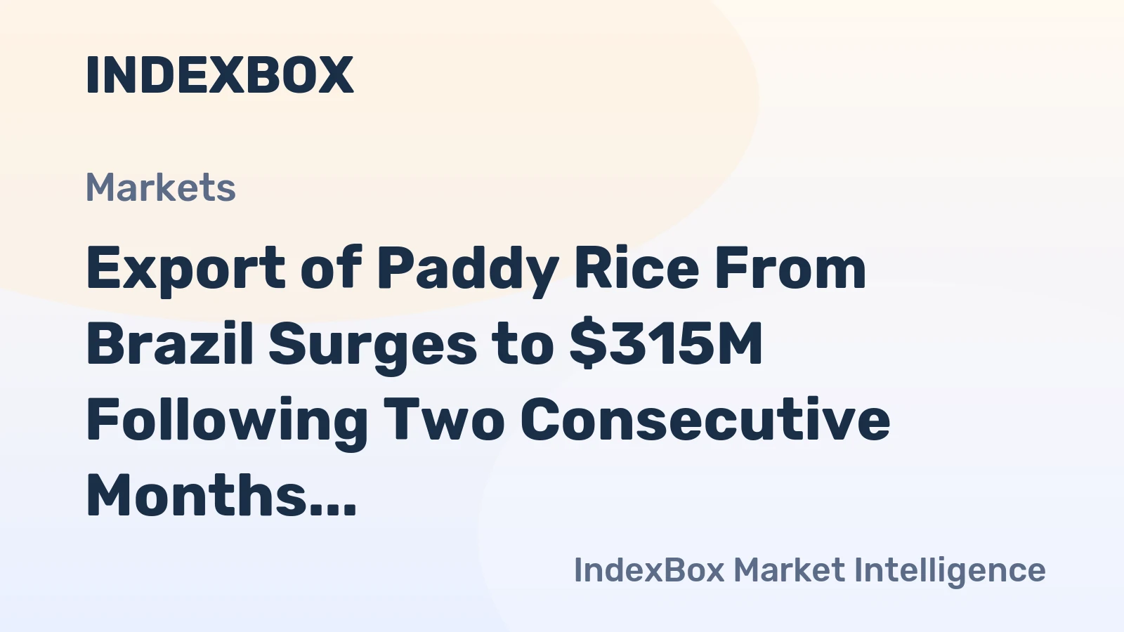 Export of Paddy Rice From Brazil Surges to $315M Following Two Consecutive Months of Growth in 2023