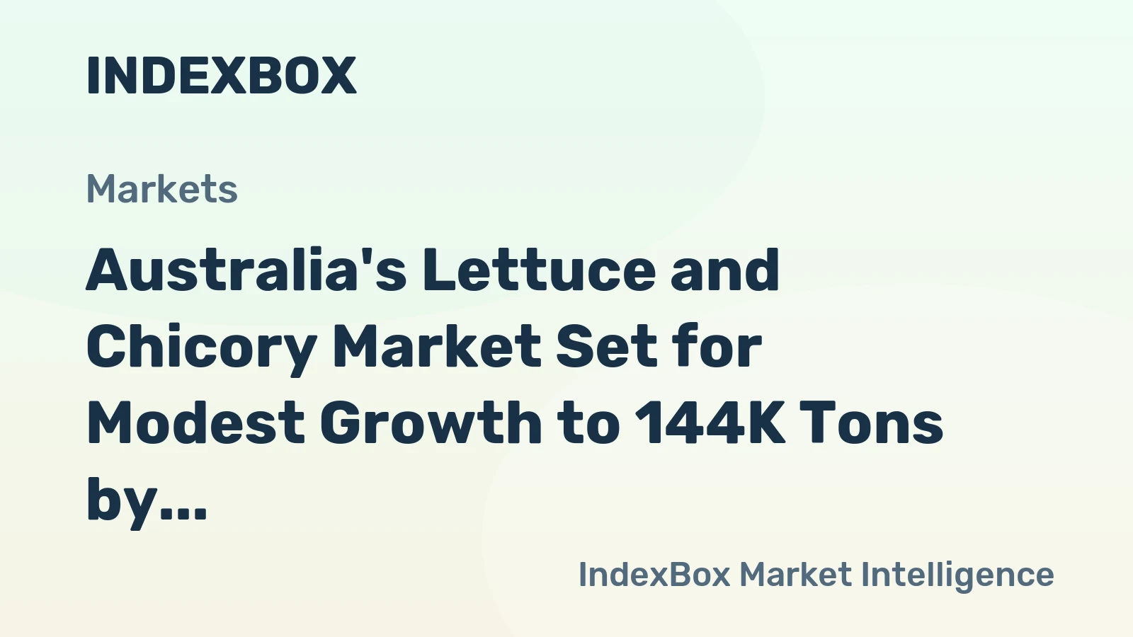 Australia's Lettuce and Chicory Market Set for Modest Growth to 144K Tons by 2035