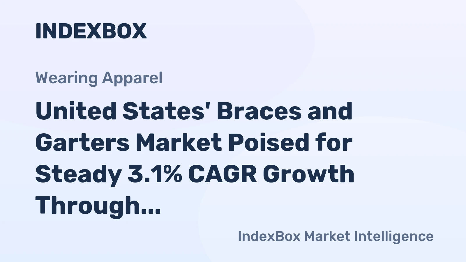 United States' Braces and Garters Market Poised for Steady 3.1% CAGR Growth Through 2035