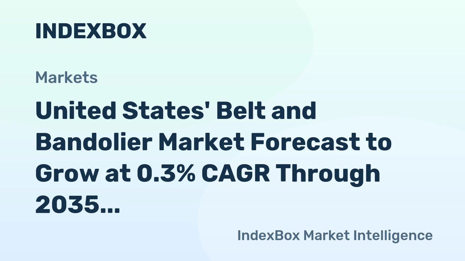 United States' Belt and Bandolier Market Forecast to Grow at 0.3% CAGR Through 2035