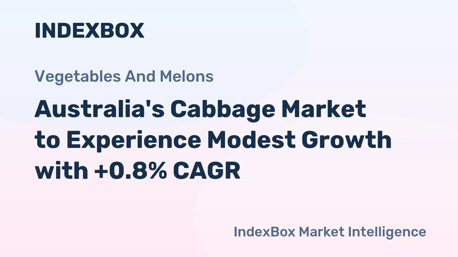 Australia's Cabbage Market to Experience Modest Growth with +0.8% CAGR