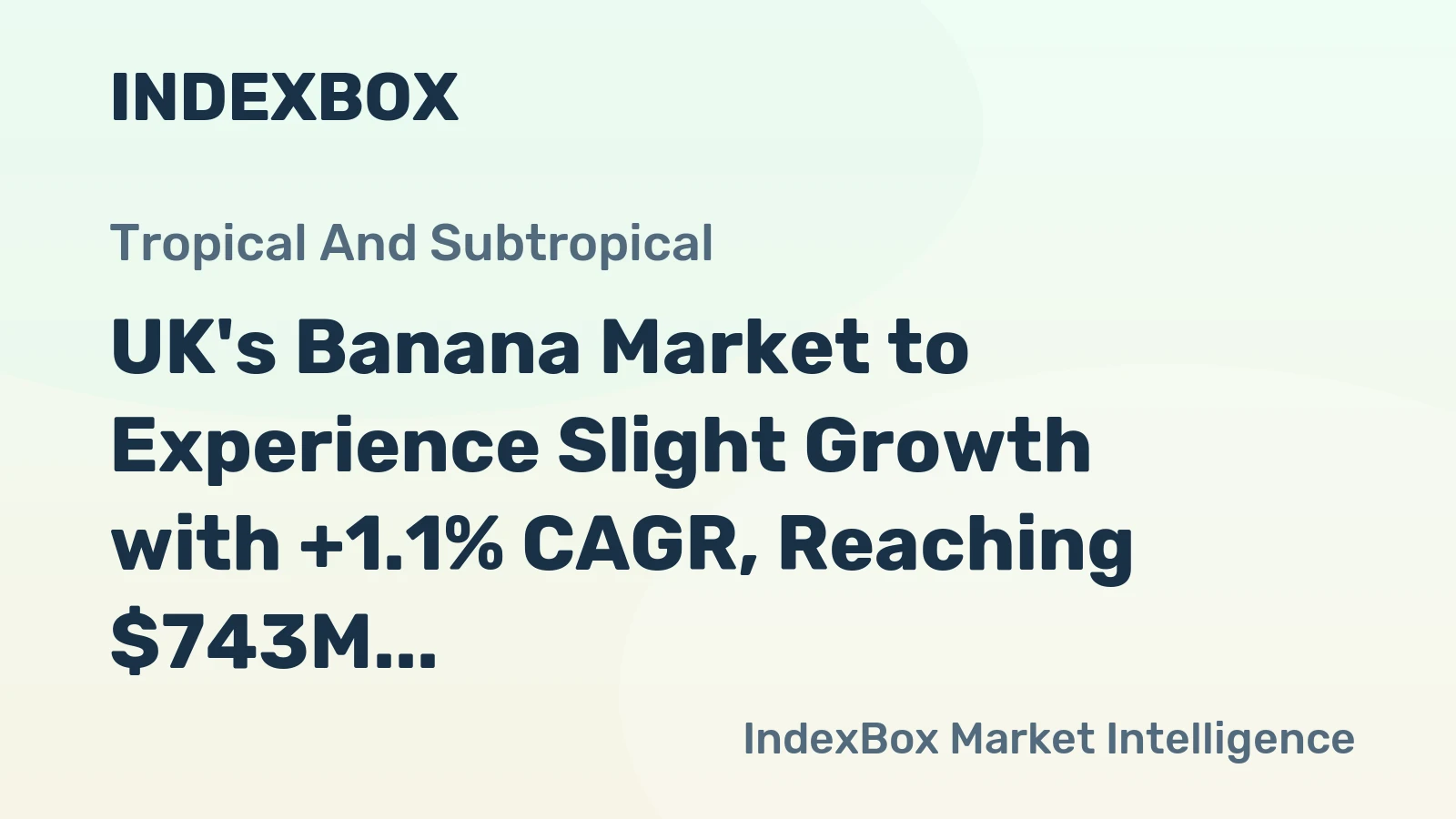 UK's Banana Market to Experience Slight Growth with +1.1% CAGR, Reaching $743M by 2035