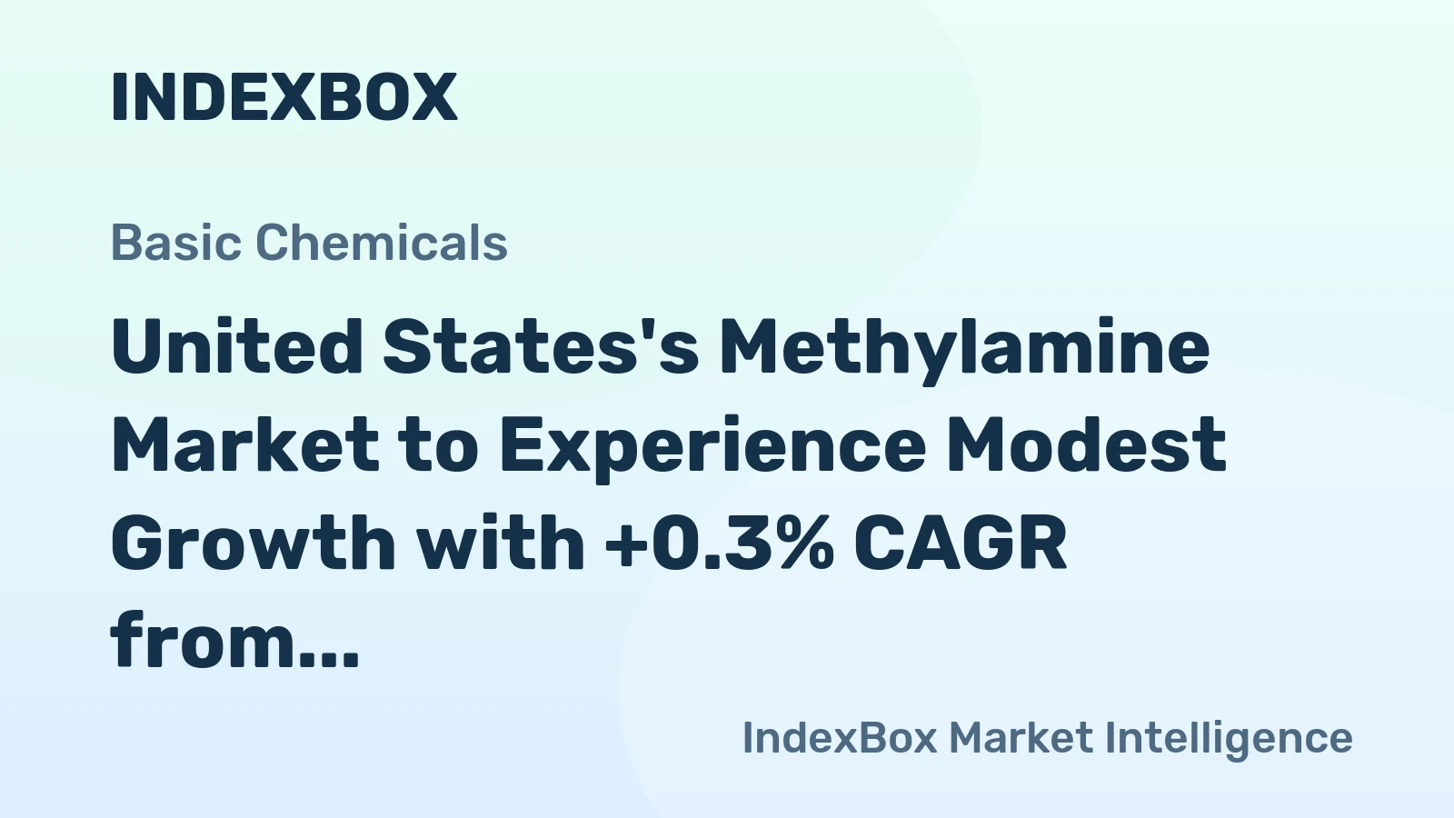United States's Methylamine Market to Experience Modest Growth with +0.3% CAGR from 2024 to 2035