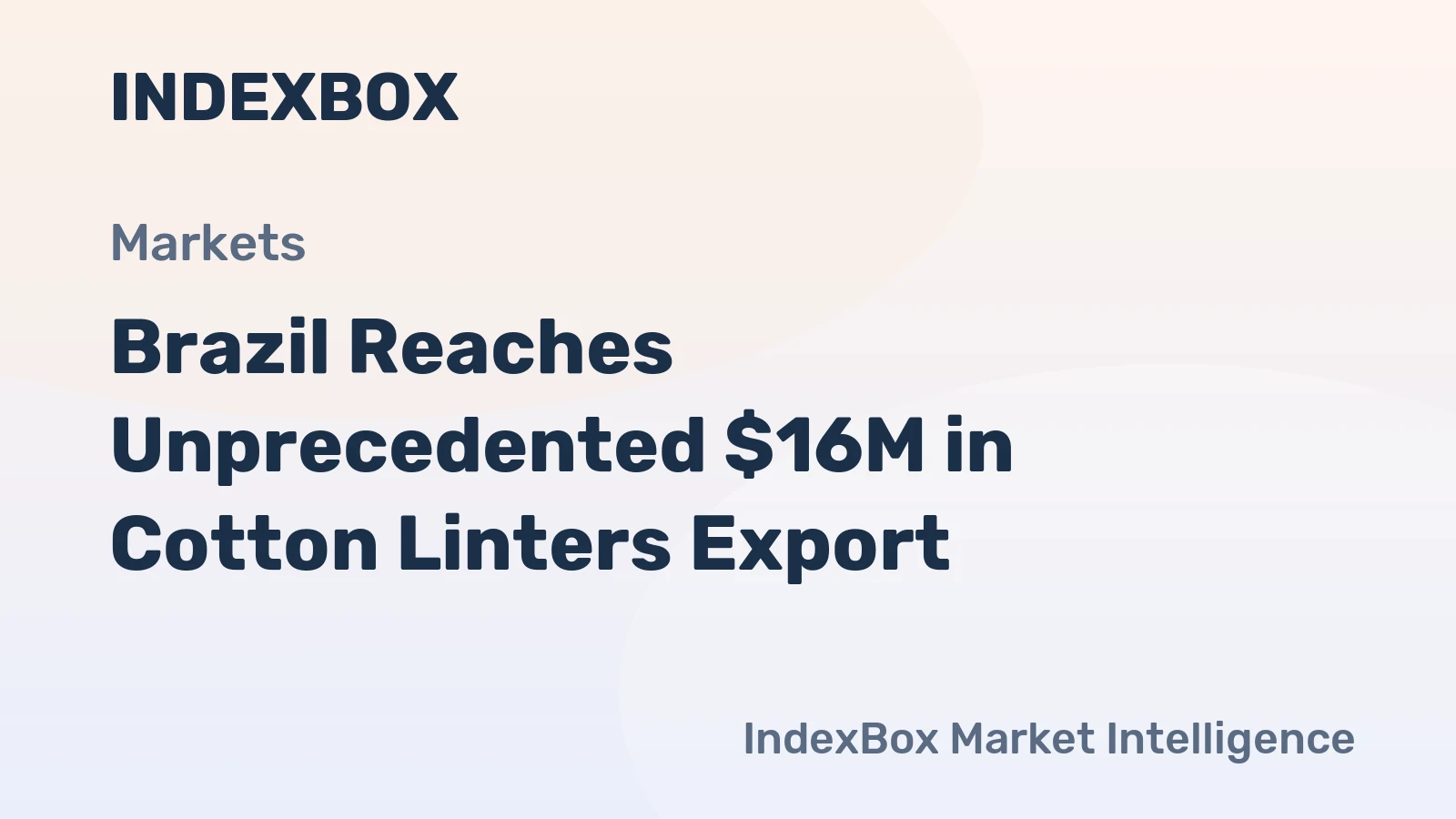 Brazil Reaches Unprecedented $16M in Cotton Linters Export