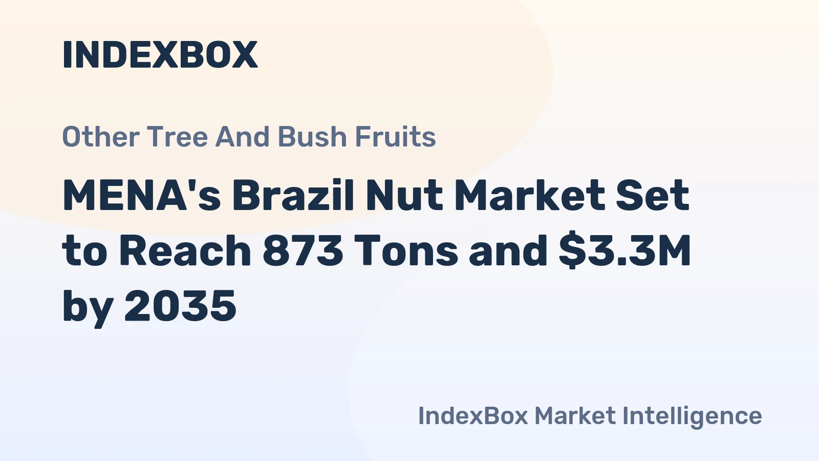 MENA's Brazil Nut Market Set to Reach 873 Tons and $3.3M by 2035