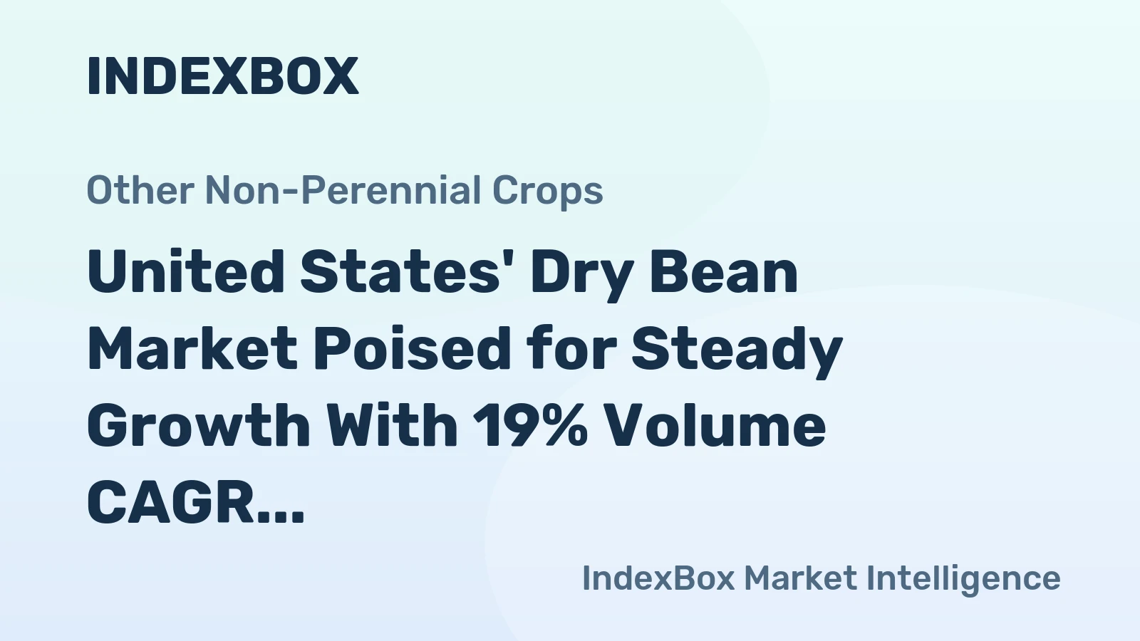 United States' Dry Bean Market Poised for Steady Growth With 19% Volume CAGR Through 2035