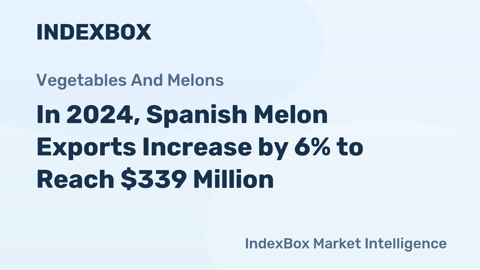 In 2024, Spanish Melon Exports Increase by 6% to Reach $339 Million
