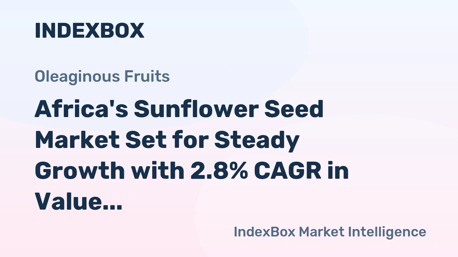 Africa's Sunflower Seed Market Set for Steady Growth with 2.8% CAGR in Value Through 2035