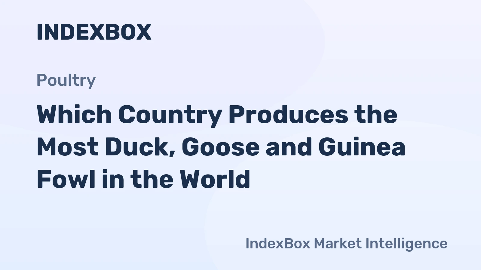 Which Country Produces the Most Duck, Goose and Guinea Fowl in the World?
