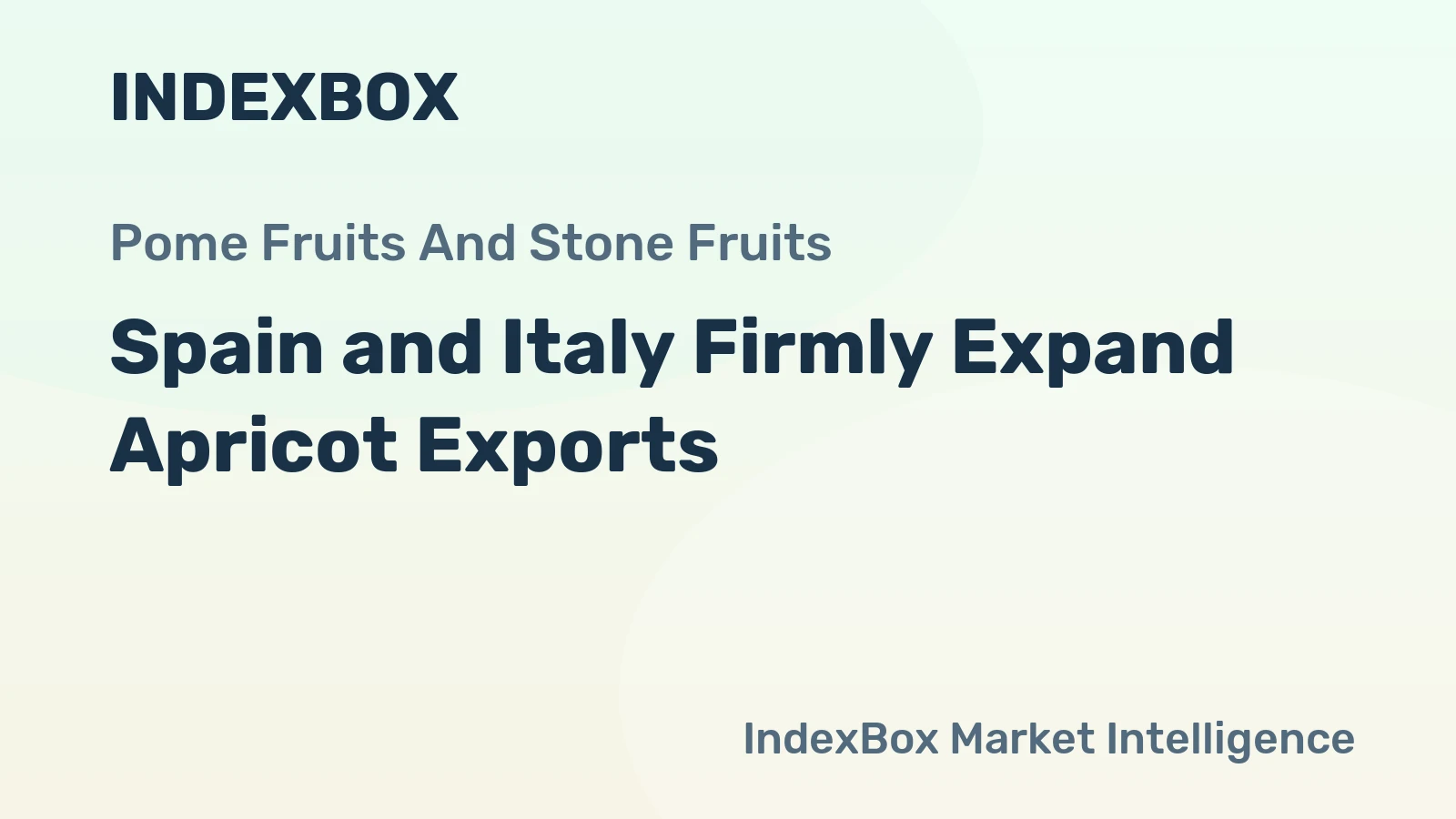 Spain and Italy Firmly Expand Apricot Exports 