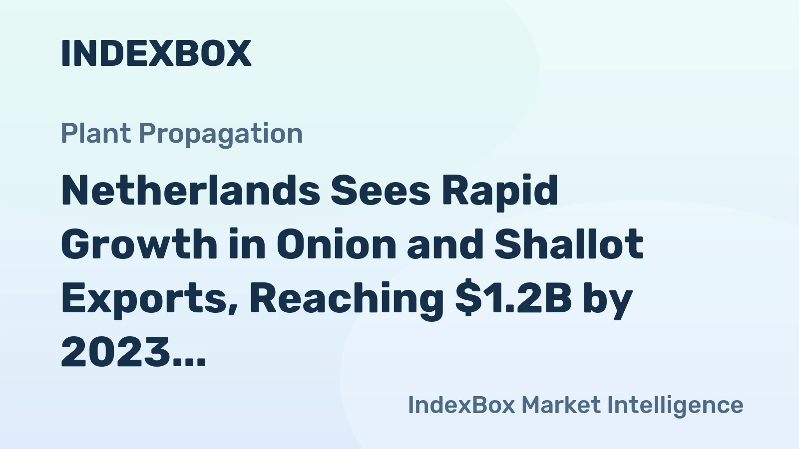 Netherlands Sees Rapid Growth in Onion and Shallot Exports, Reaching $1.2B by 2023