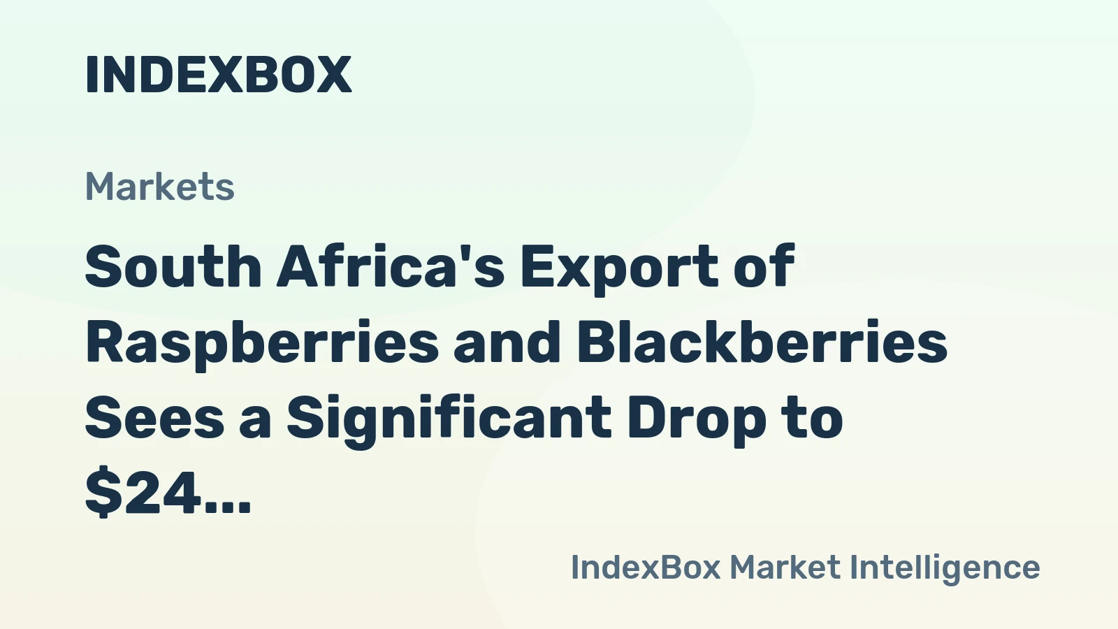 South Africa's Export of Raspberries and Blackberries Sees a Significant Drop to $24 Million in 2023.