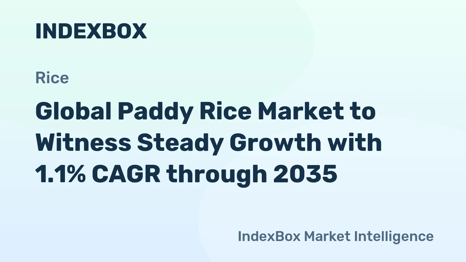 Global Paddy Rice Market to Witness Steady Growth with 1.1% CAGR through 2035
