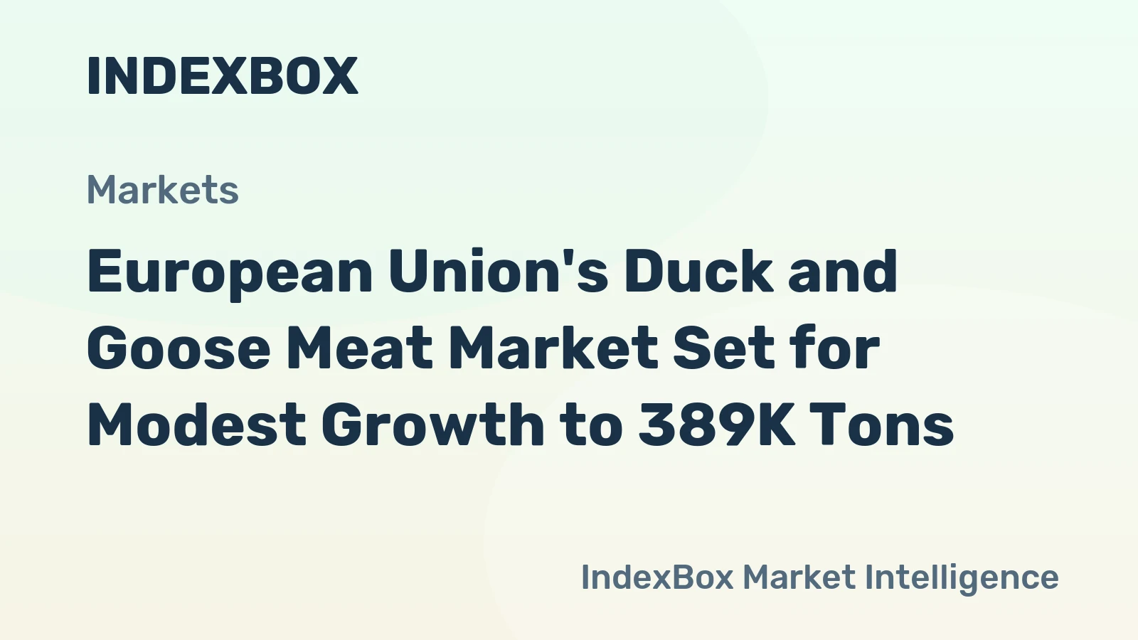 European Union's Duck and Goose Meat Market Set for Modest Growth to 389K Tons