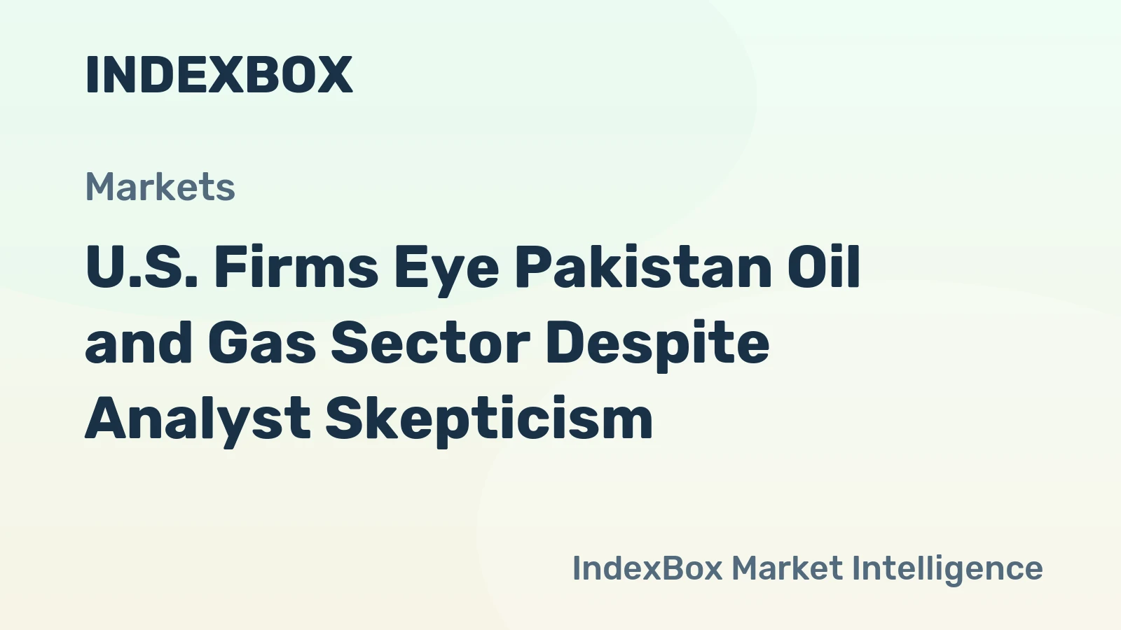 U.S. Firms Eye Pakistan Oil and Gas Sector Despite Analyst Skepticism