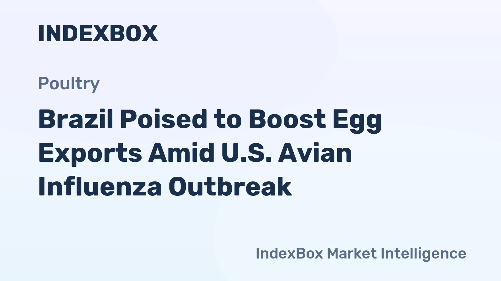 Brazil Poised to Boost Egg Exports Amid U.S. Avian Influenza Outbreak