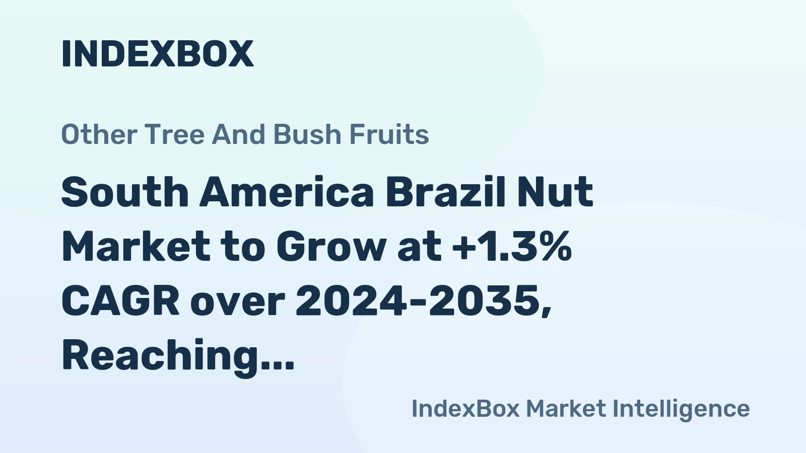 South America Brazil Nut Market to Grow at +1.3% CAGR over 2024-2035, Reaching $357M in Value by 2035