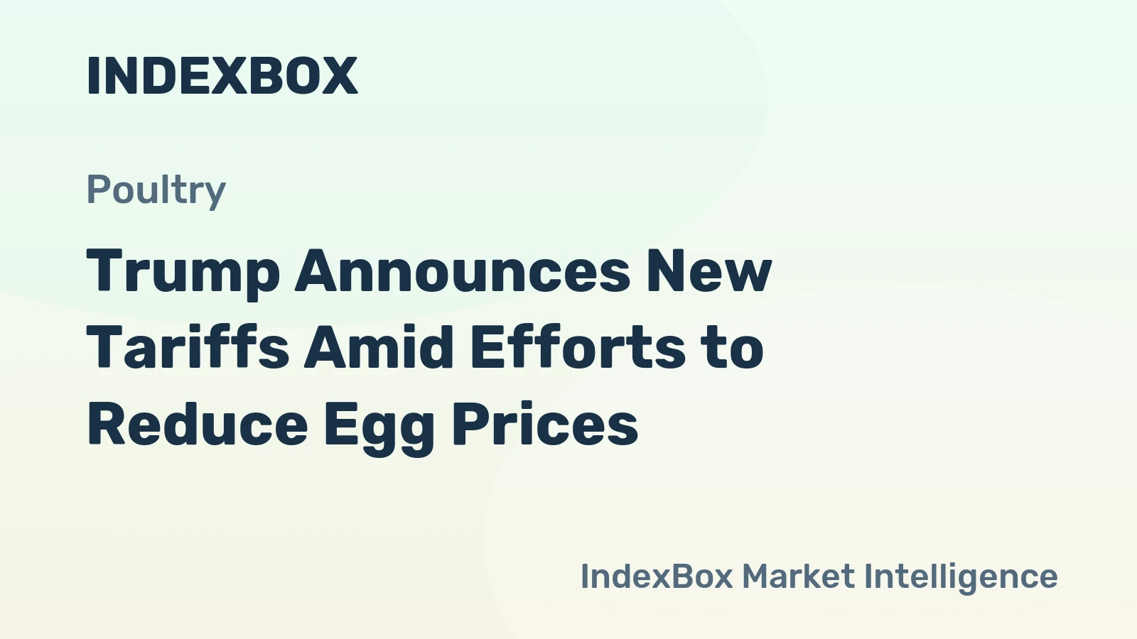 Trump Announces New Tariffs Amid Efforts to Reduce Egg Prices