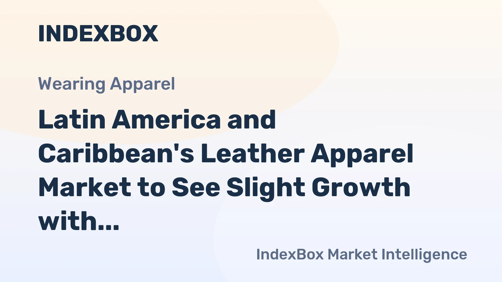 Latin America and Caribbean's Leather Apparel Market to See Slight Growth with CAGR of +0.5%