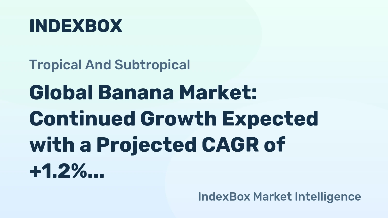 Global Banana Market: Continued Growth Expected with a Projected CAGR of +1.2% from 2024 to 2035