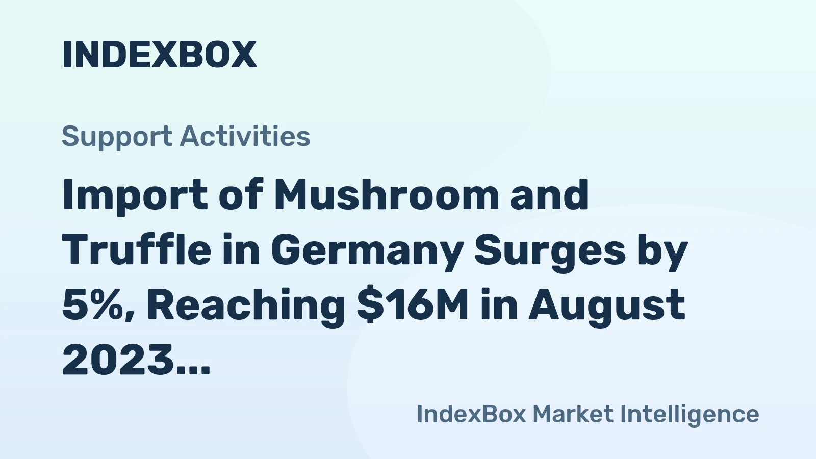 Import of Mushroom and Truffle in Germany Surges by 5%, Reaching $16M in August 2023