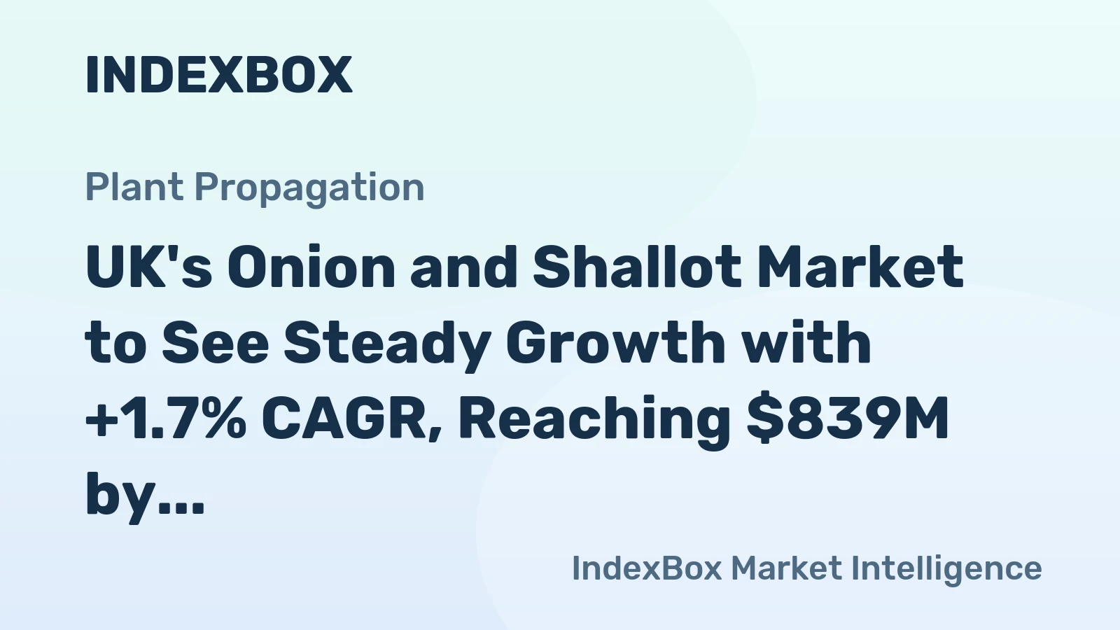 UK's Onion and Shallot Market to See Steady Growth with +1.7% CAGR, Reaching $839M by 2035