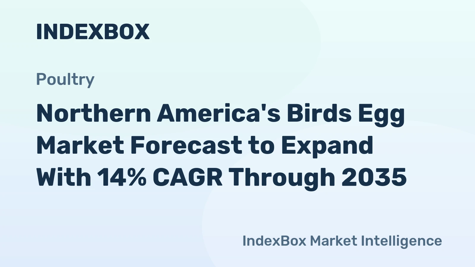 Northern America's Birds Egg Market Forecast to Expand With 14% CAGR Through 2035