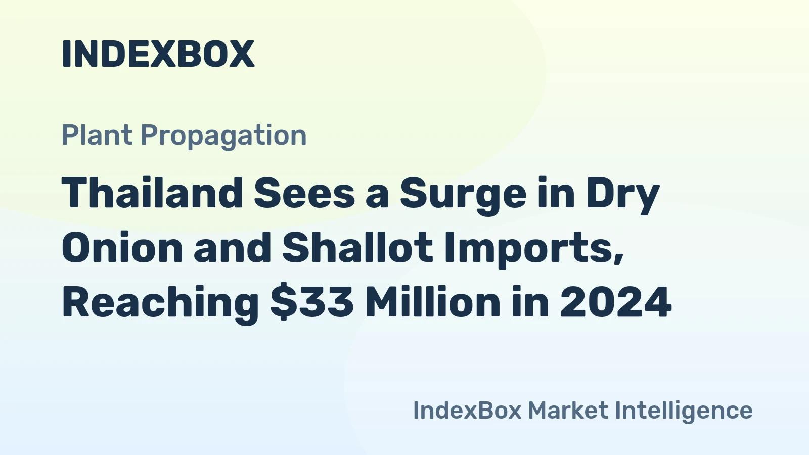 Thailand Sees a Surge in Dry Onion and Shallot Imports, Reaching $33 Million in 2024