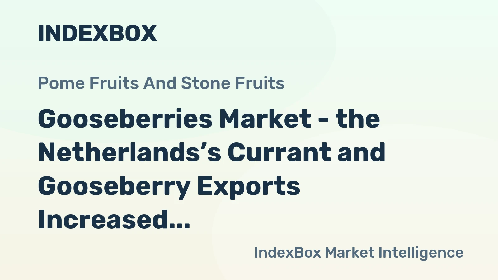 Gooseberries Market - the Netherlands’s Currant and Gooseberry Exports Increased by 10% in 2014