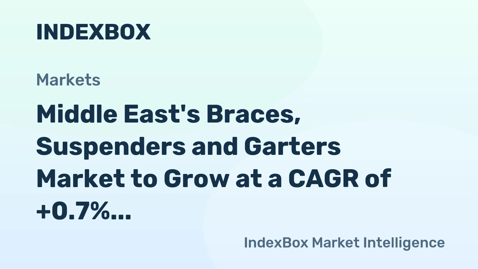 Middle East's Braces, Suspenders and Garters Market to Grow at a CAGR of +0.7% from 2024 to 2035