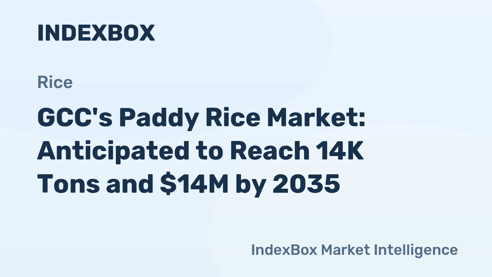 GCC's Paddy Rice Market: Anticipated to Reach 14K Tons and $14M by 2035