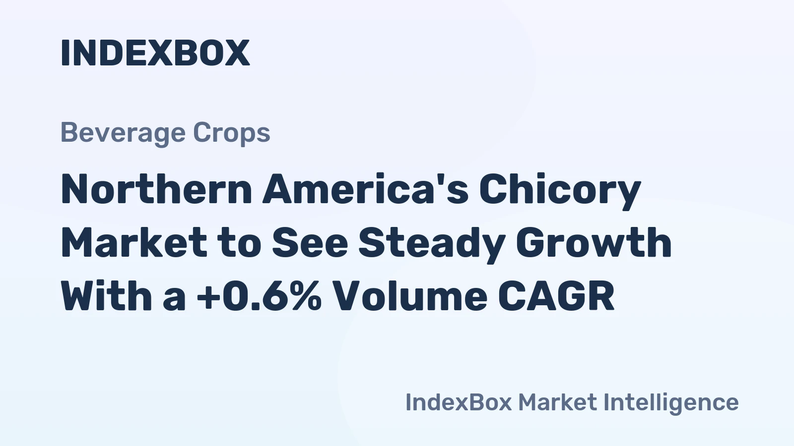 Northern America's Chicory Market to See Steady Growth With a +0.6% Volume CAGR