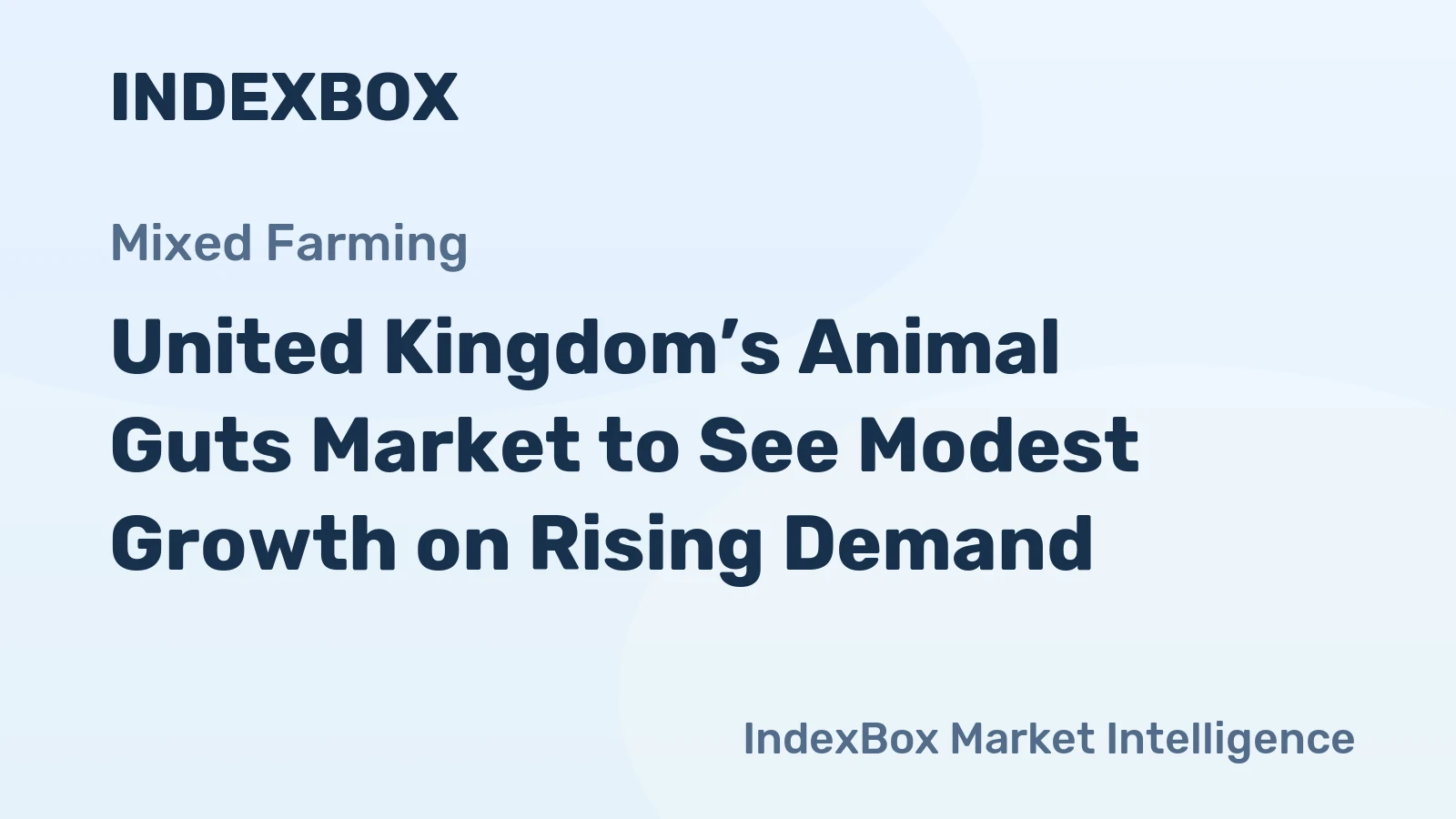 United Kingdom’s Animal Guts Market to See Modest Growth on Rising Demand