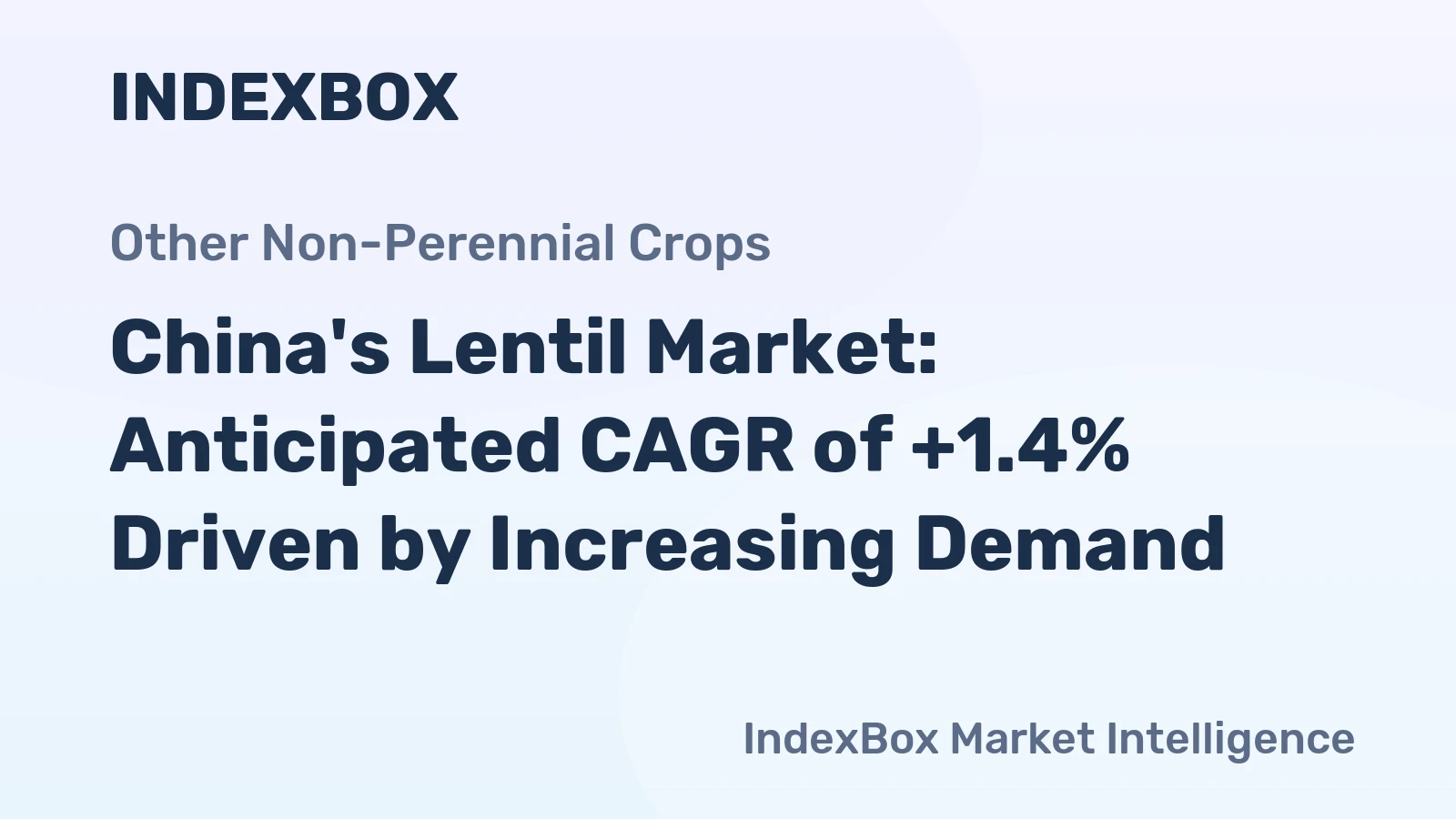 China's Lentil Market: Anticipated CAGR of +1.4% Driven by Increasing Demand