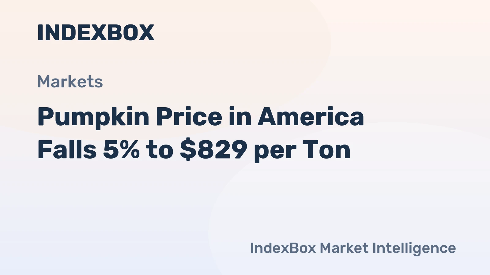 Pumpkin Price in America Falls 5% to $829 per Ton