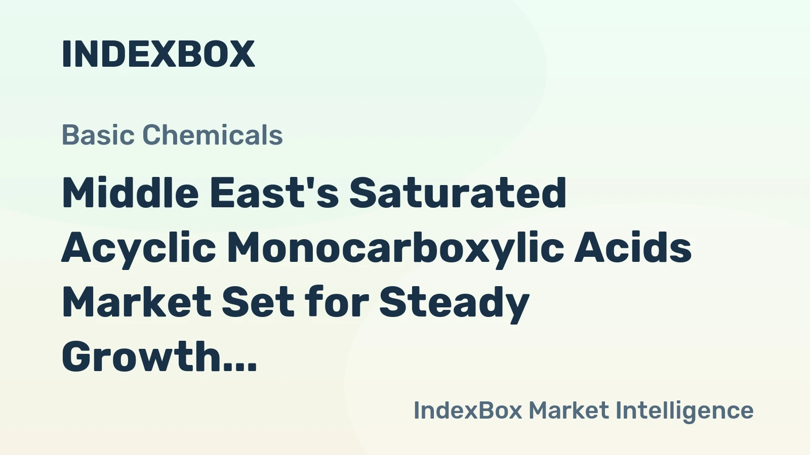 Middle East's Saturated Acyclic Monocarboxylic Acids Market Set for Steady Growth to 1.6 Million Tons