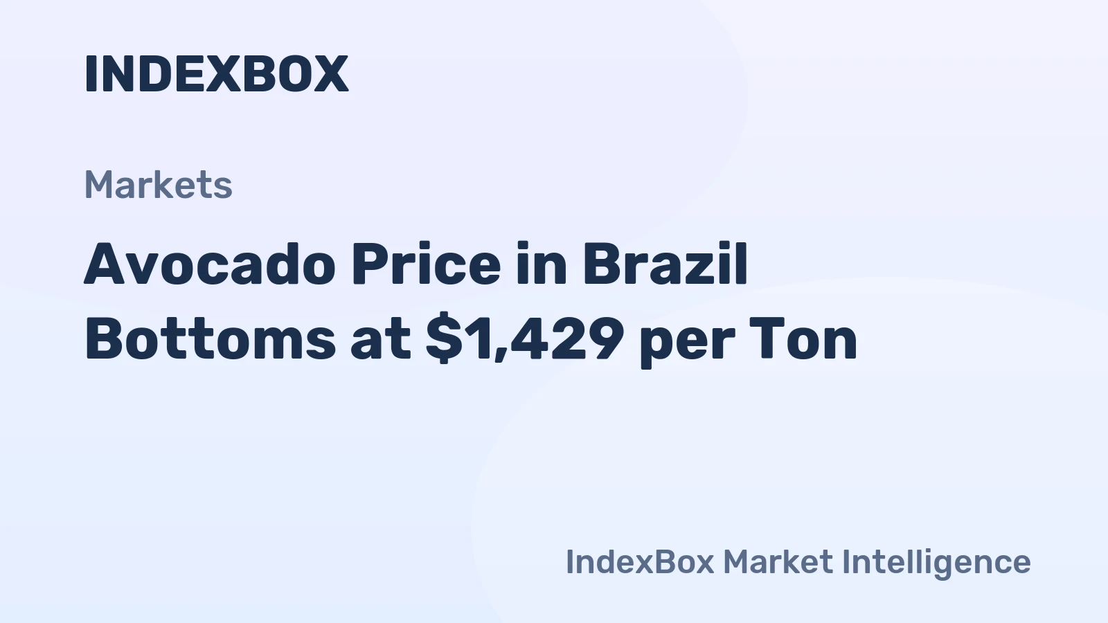 Avocado Price in Brazil Bottoms at $1,429 per Ton