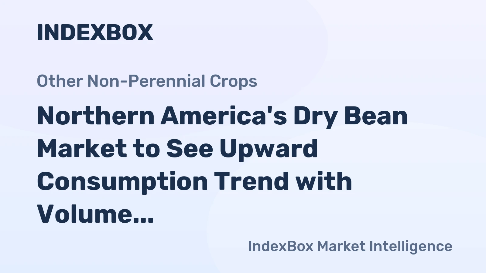 Northern America's Dry Bean Market to See Upward Consumption Trend with Volume Reaching 1.2M Tons by 2035