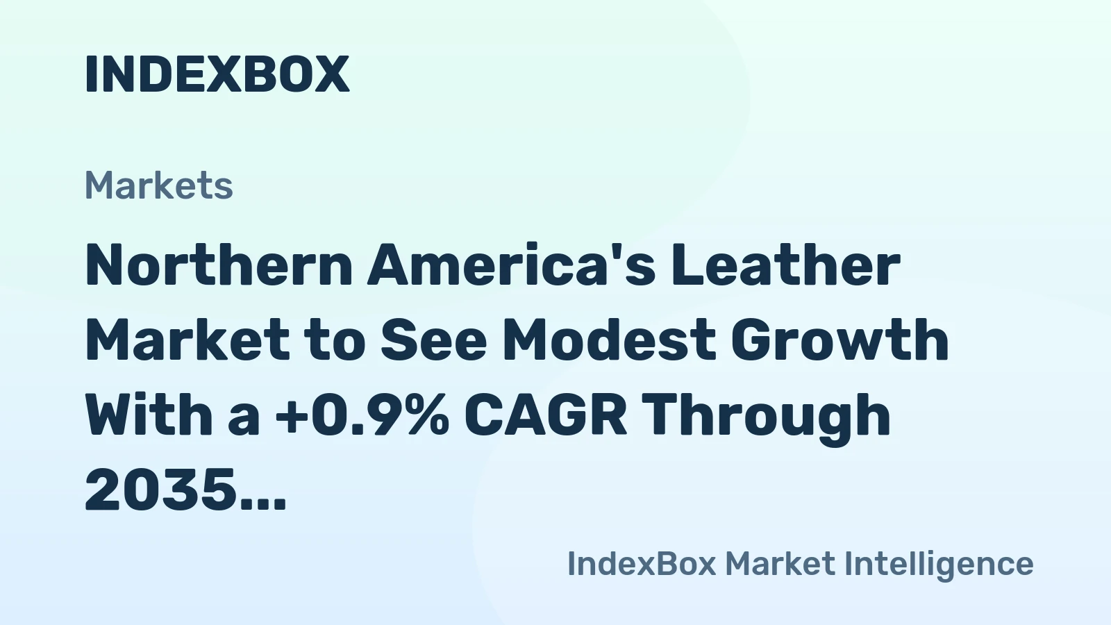 Northern America's Leather Market to See Modest Growth With a +0.9% CAGR Through 2035