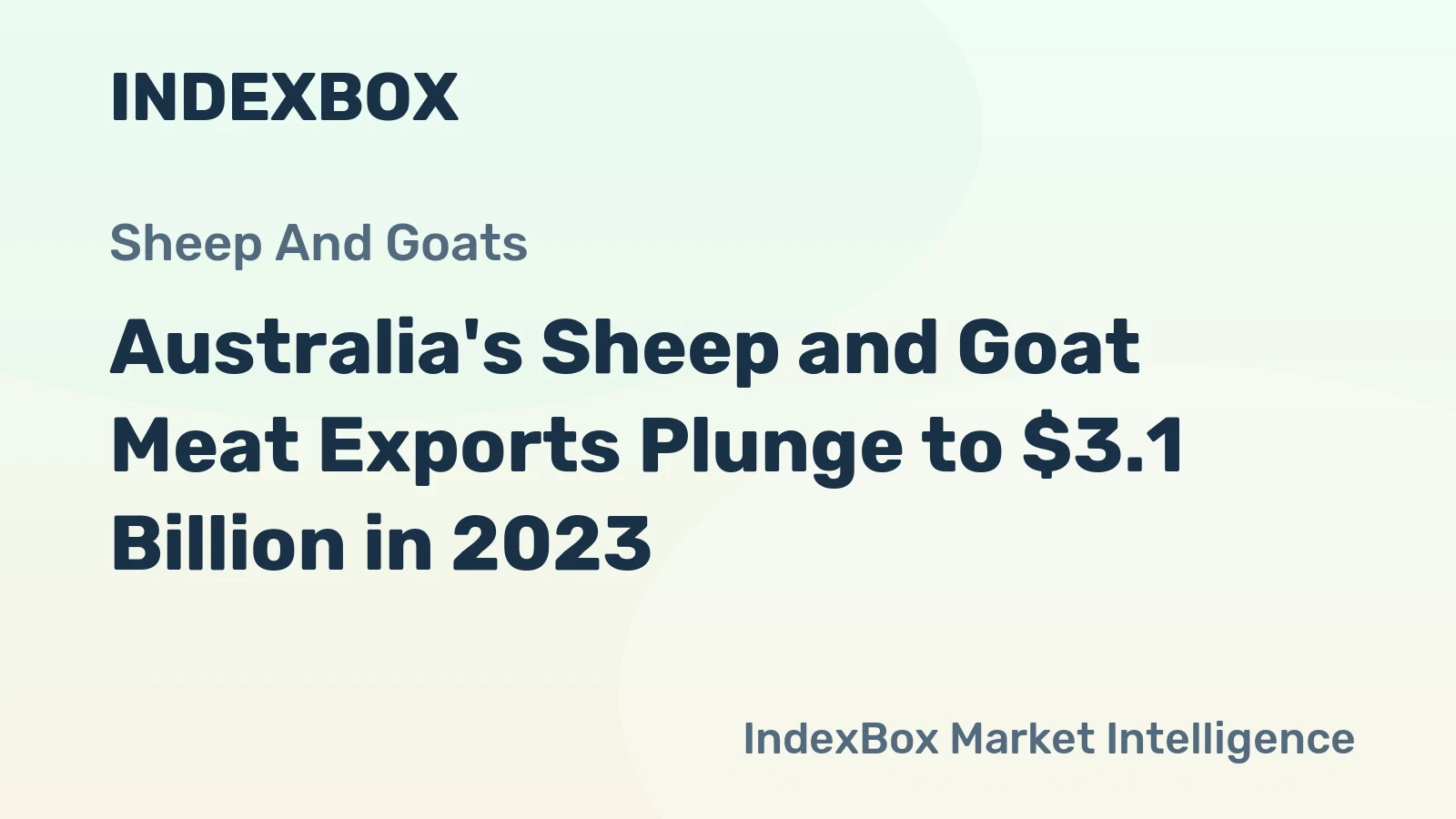 Australia's Sheep and Goat Meat Exports Plunge to $3.1 Billion in 2023