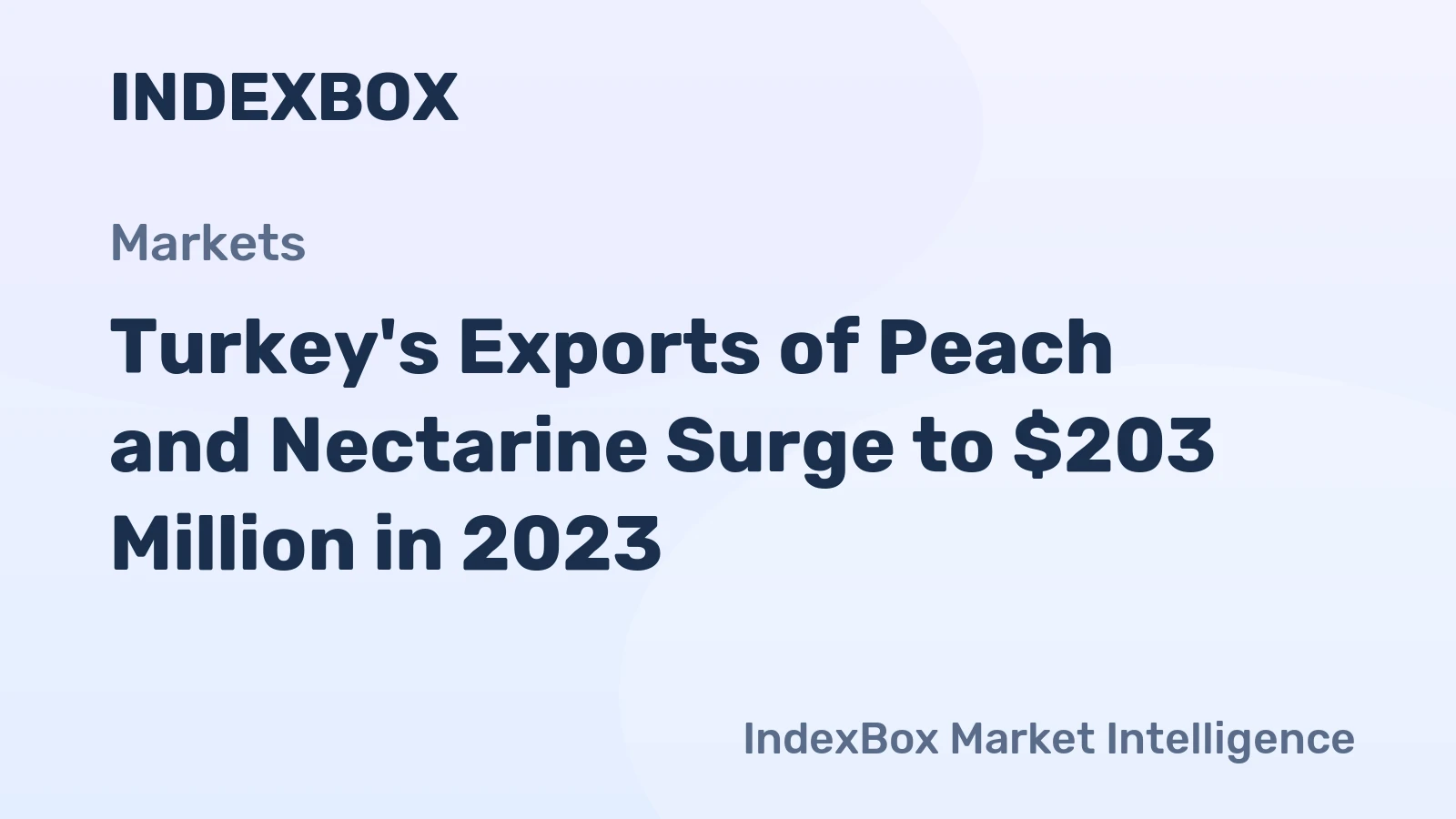 Turkey's Exports of Peach and Nectarine Surge to $203 Million in 2023