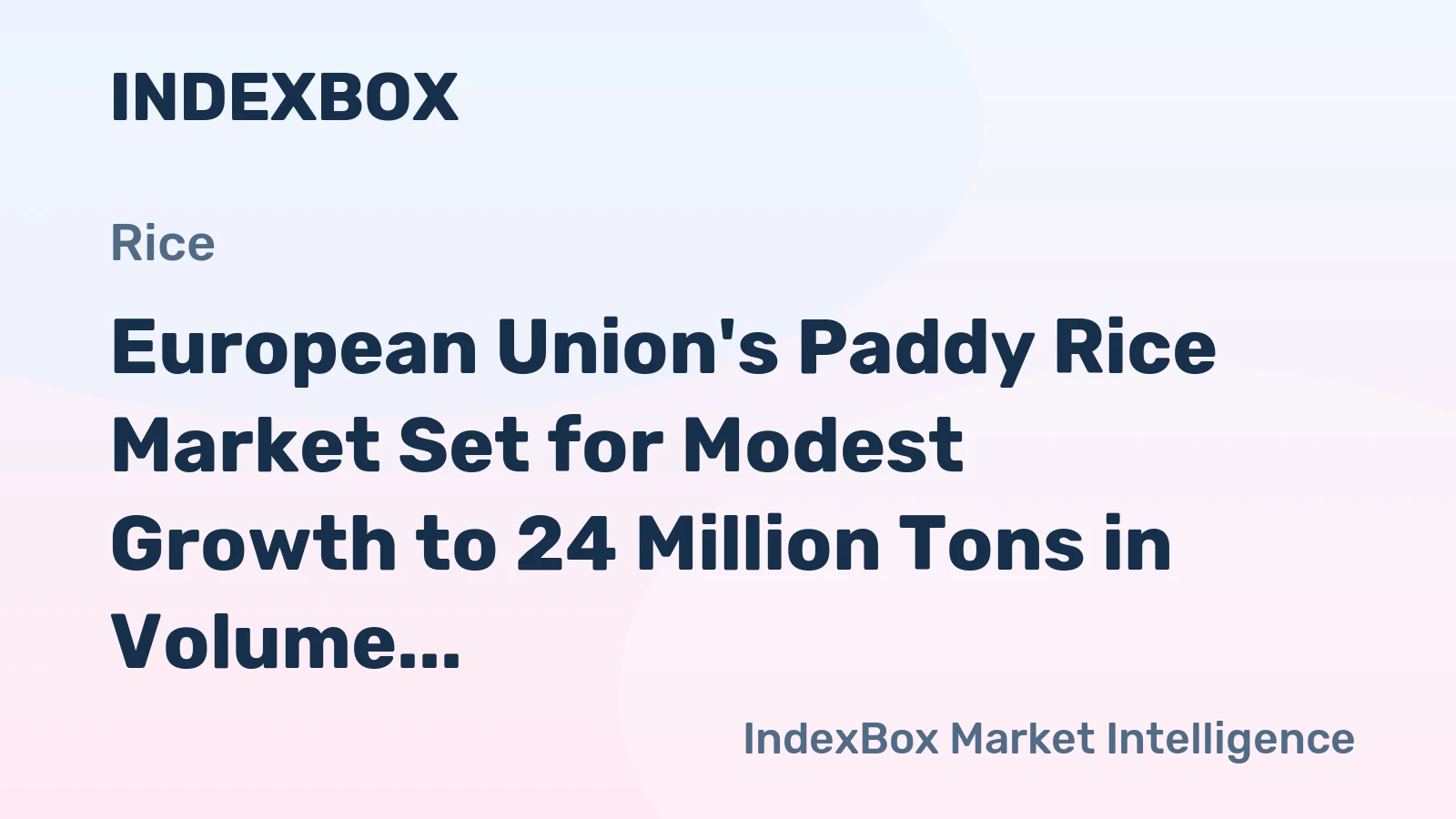 European Union's Paddy Rice Market Set for Modest Growth to 24 Million Tons in Volume and 18 Billion in Value