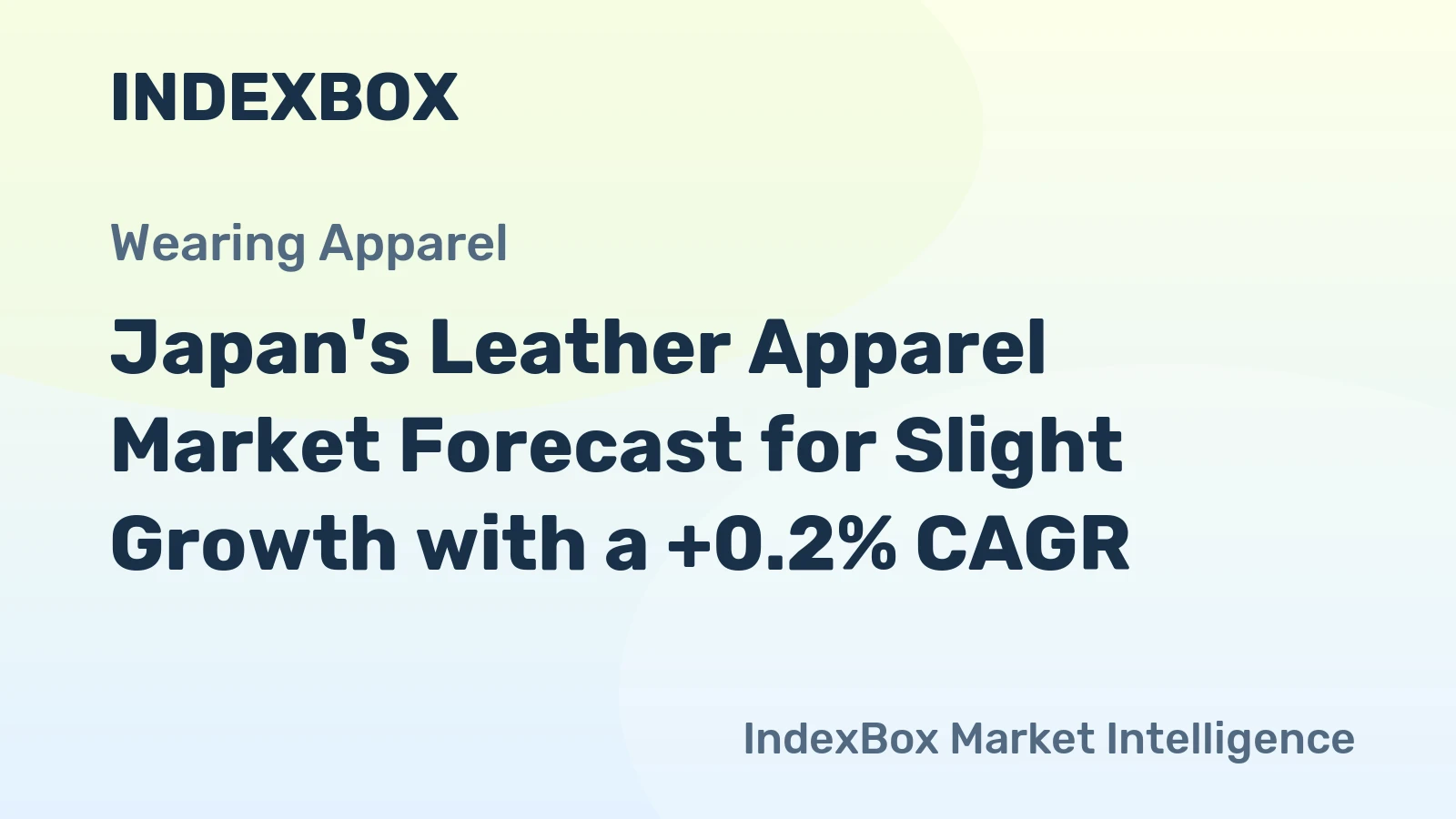Japan's Leather Apparel Market Forecast for Slight Growth with a +0.2% CAGR