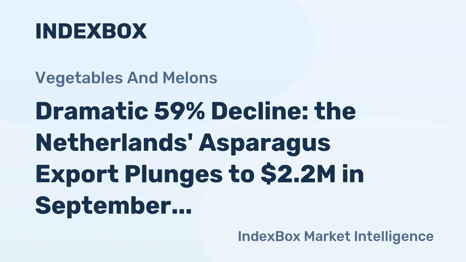 Dramatic 59% Decline: the Netherlands' Asparagus Export Plunges to $2.2M in September 2023