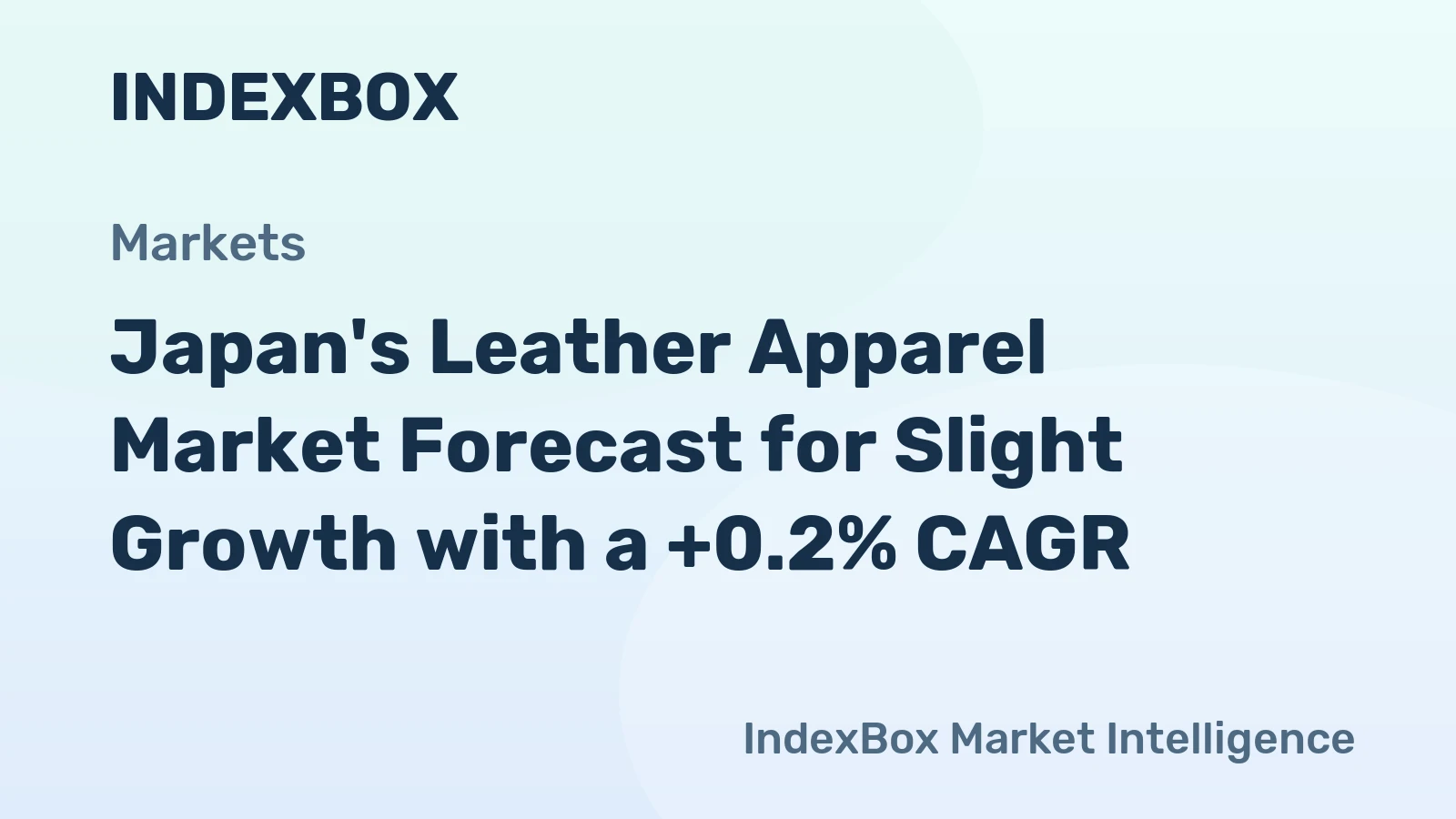 Japan's Leather Apparel Market Forecast for Slight Growth with a +0.2% CAGR