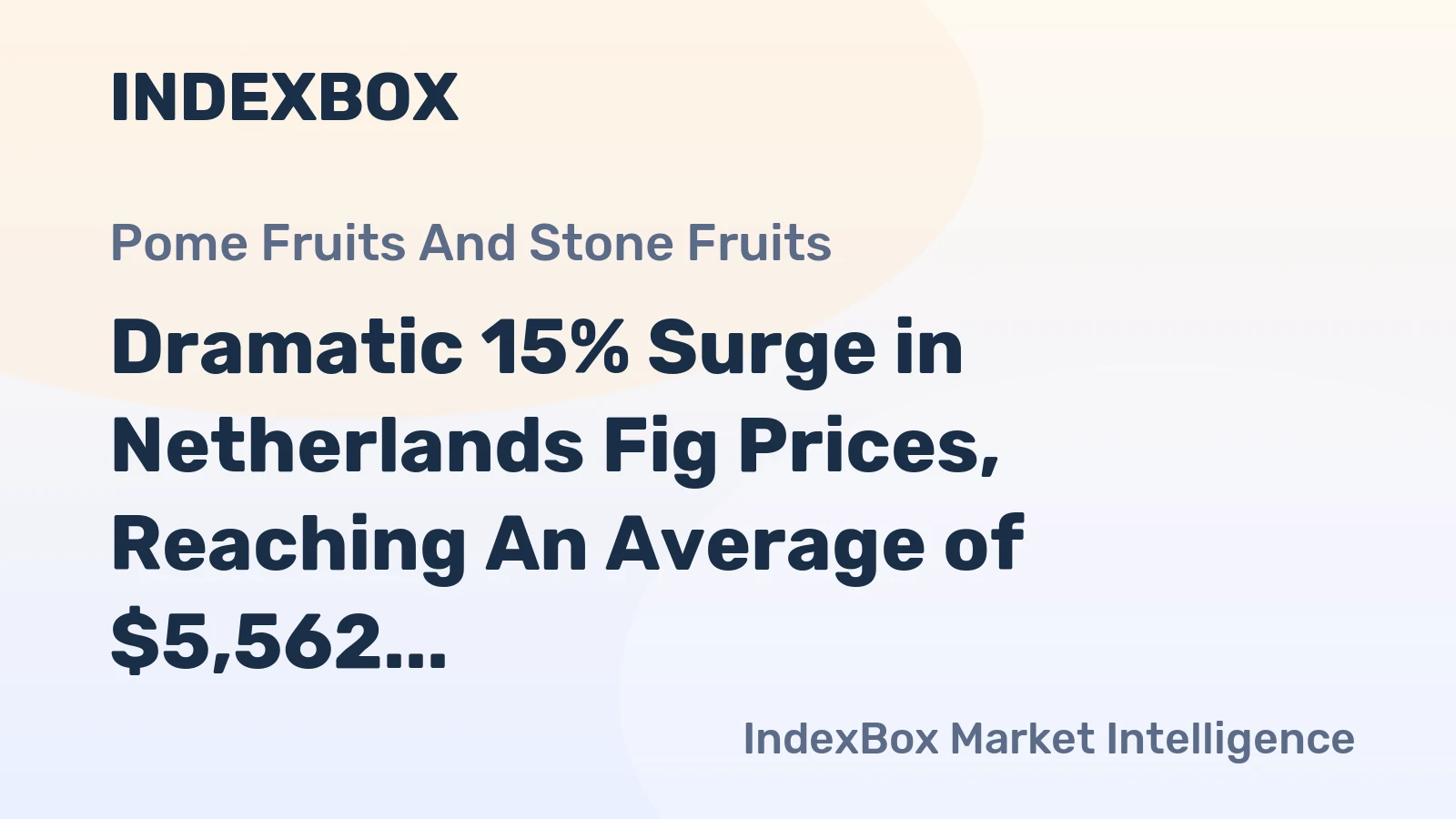 Dramatic 15% Surge in Netherlands Fig Prices, Reaching An Average of $5,562 per Ton
