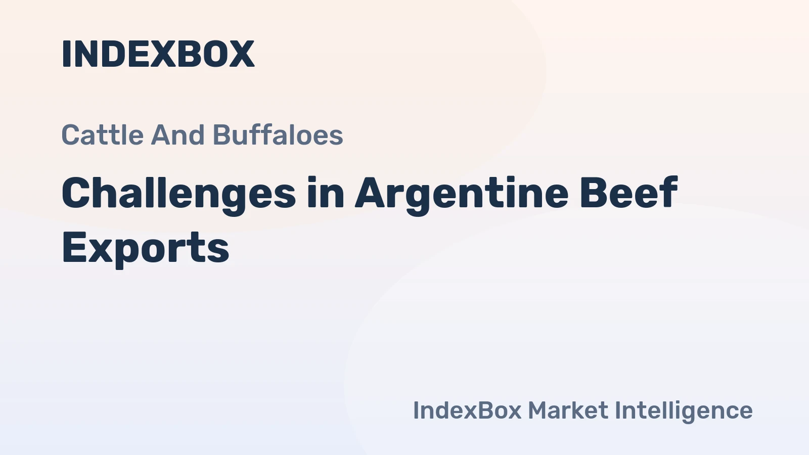 Challenges in Argentine Beef Exports