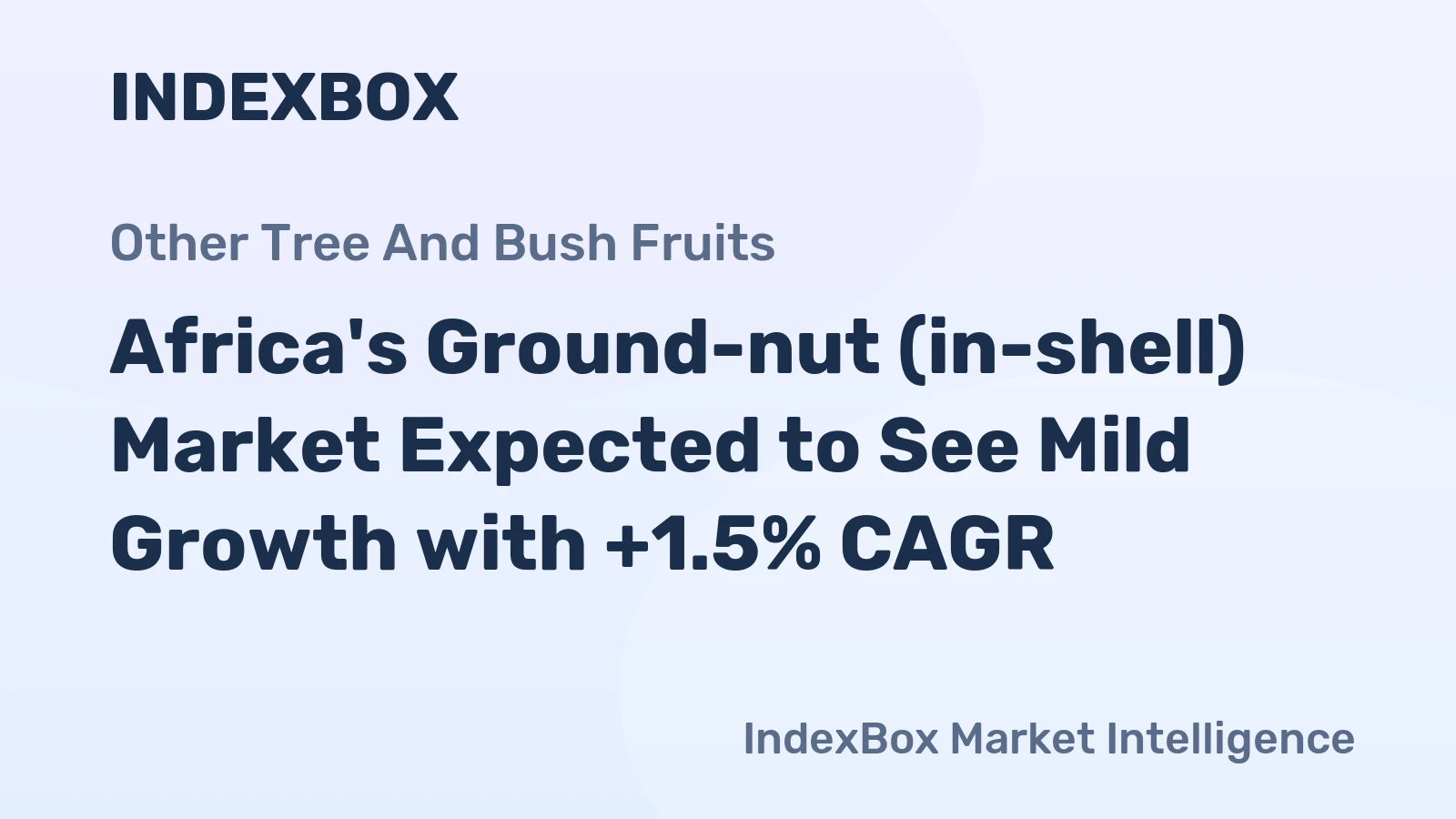 Africa's Ground-nut (in-shell) Market Expected to See Mild Growth with +1.5% CAGR