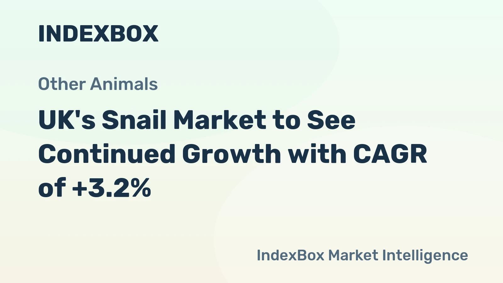 UK's Snail Market to See Continued Growth with CAGR of +3.2%